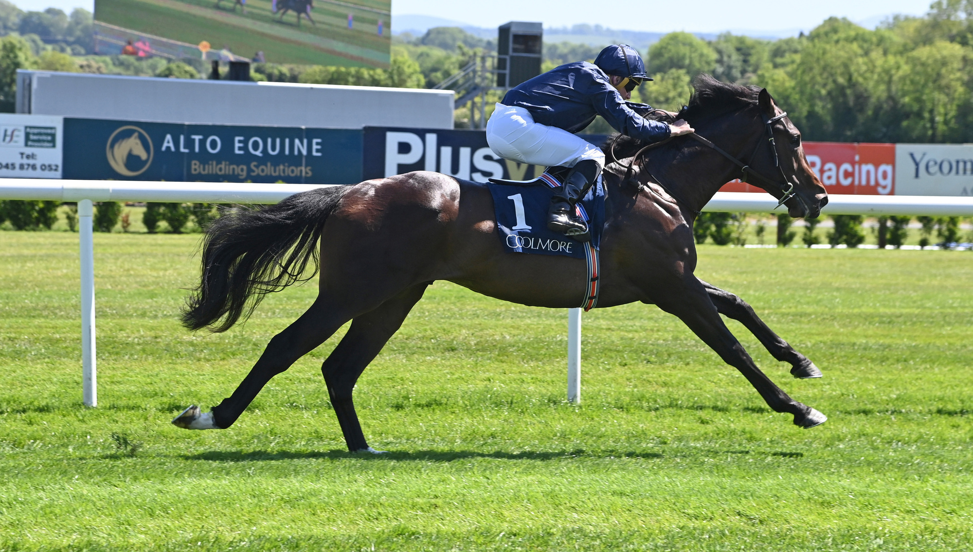 Charles Darwin lives up to his billing in Norfolk Stakes