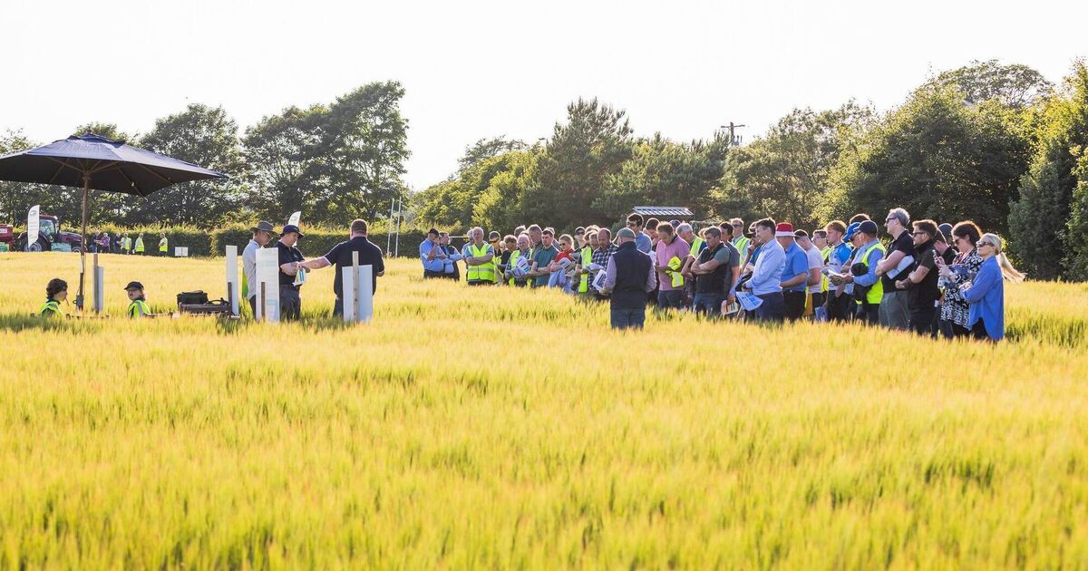 Ballymaloe Farm hosts ‘Managing Soils to Grow Profit' farm walk