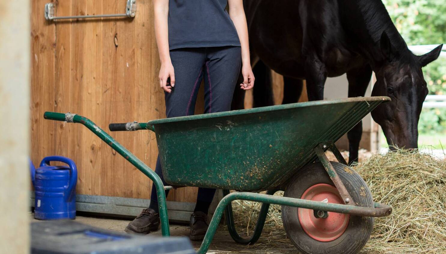 High Court throws out former stable hand's damages case over ...