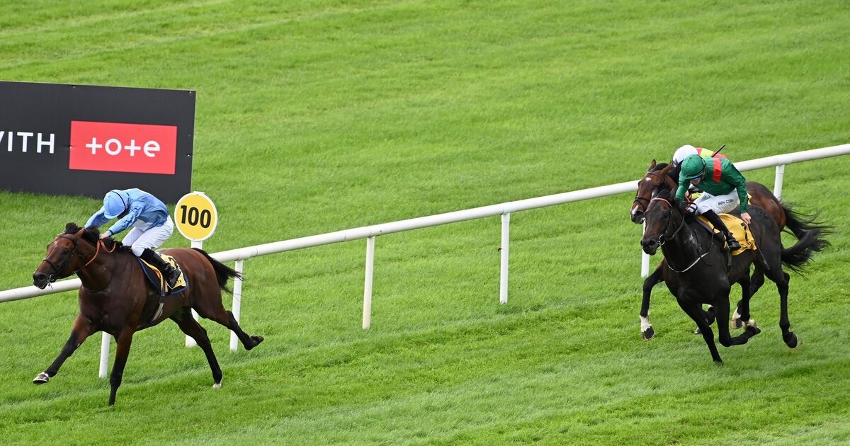 Hot51 karina have seen many of Chris’s girls and met Maggie