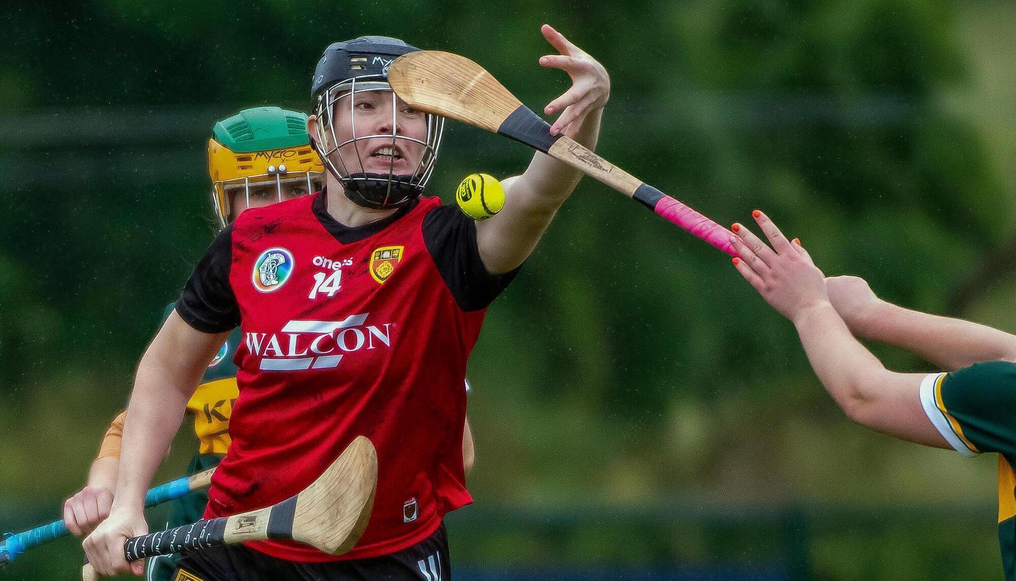 Down book camogie semi with Kerry, Antrim set up Offaly clash