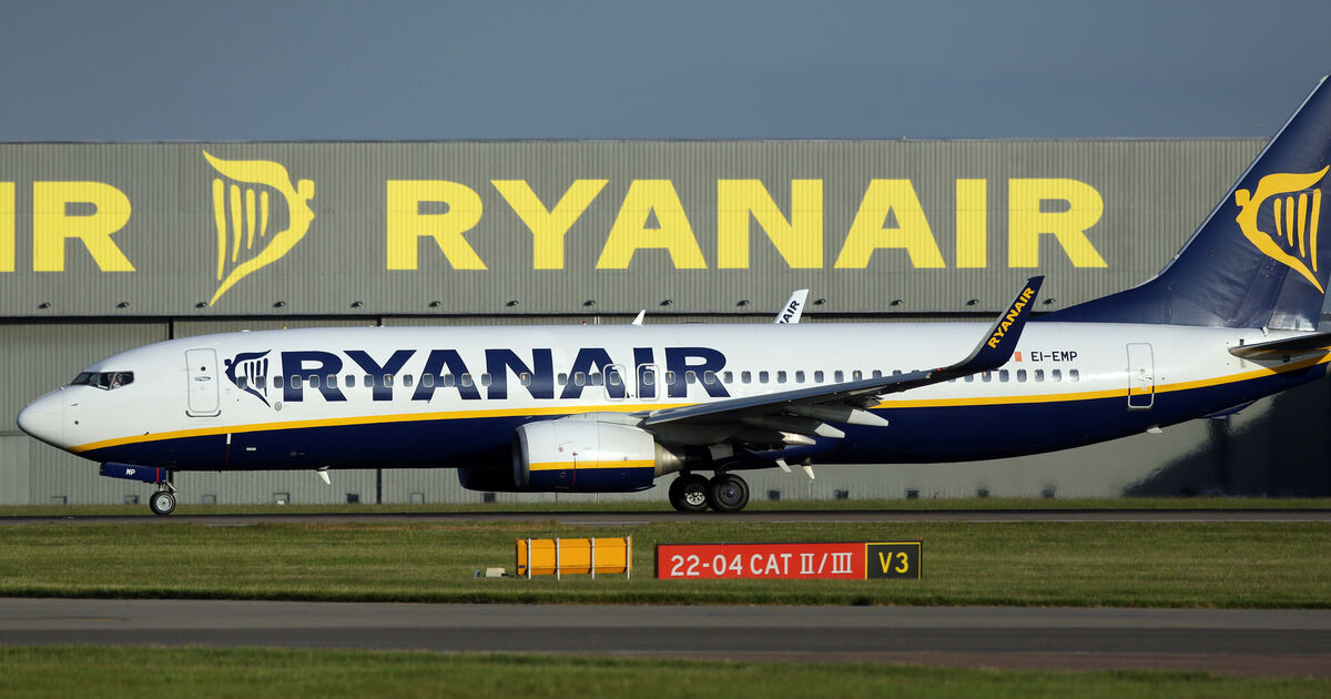 Filedot girls eventually made the journey to Gina's realm,