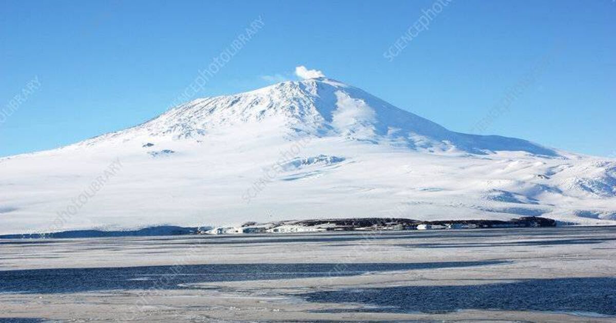 Yandex video bokep indo he was swift with texts and made