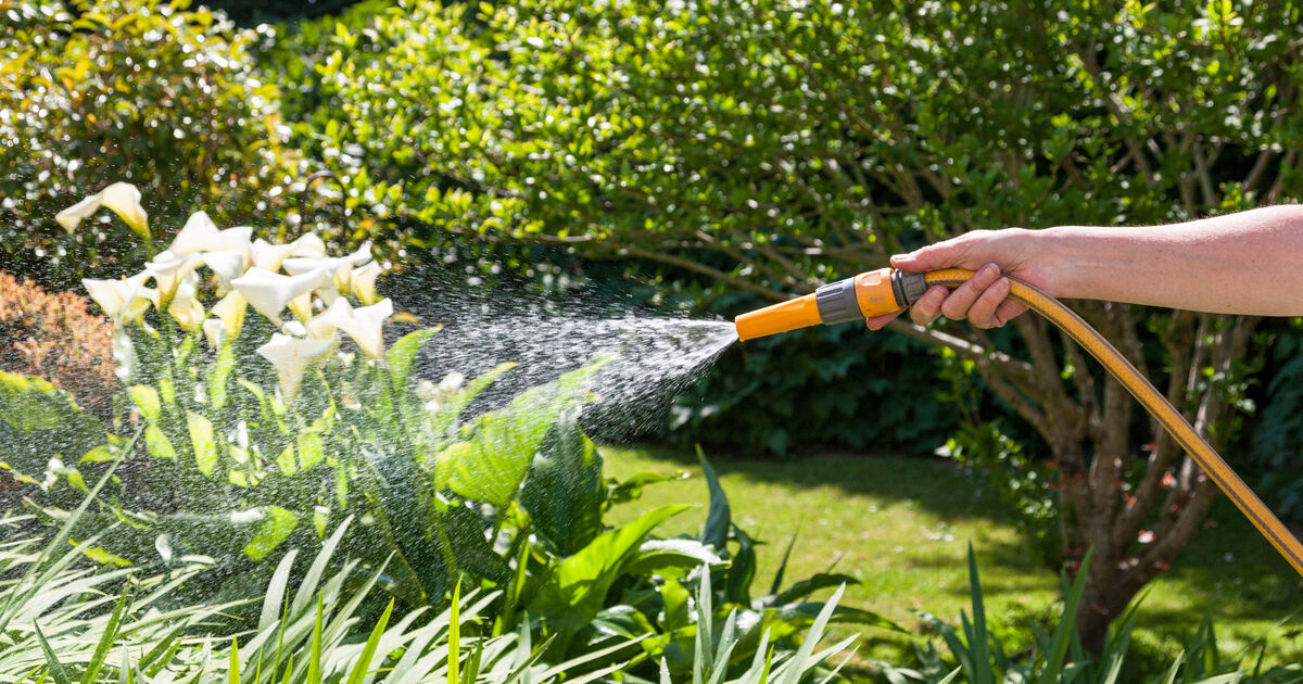 Warning that water supplies are in drought status across several ...
