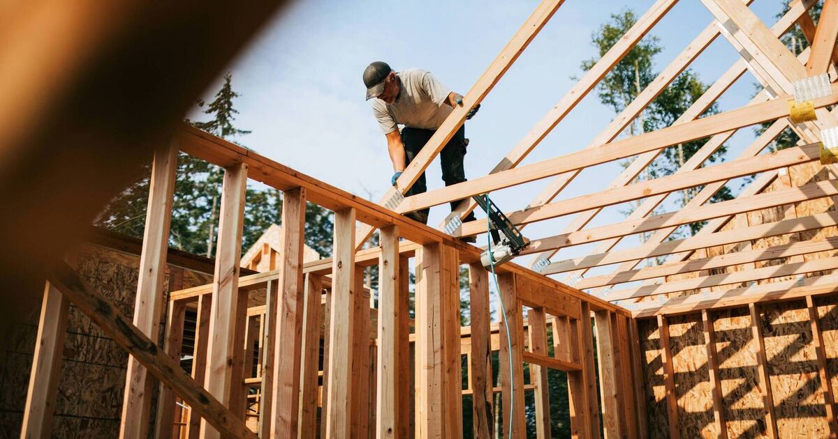 Healy-Rae: Time to use Irish timber for construction