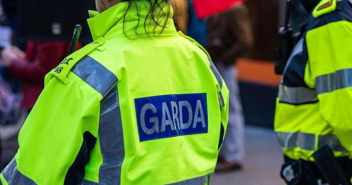 Drug searches in Ireland fall by 7,000 amid garda staffing crisis