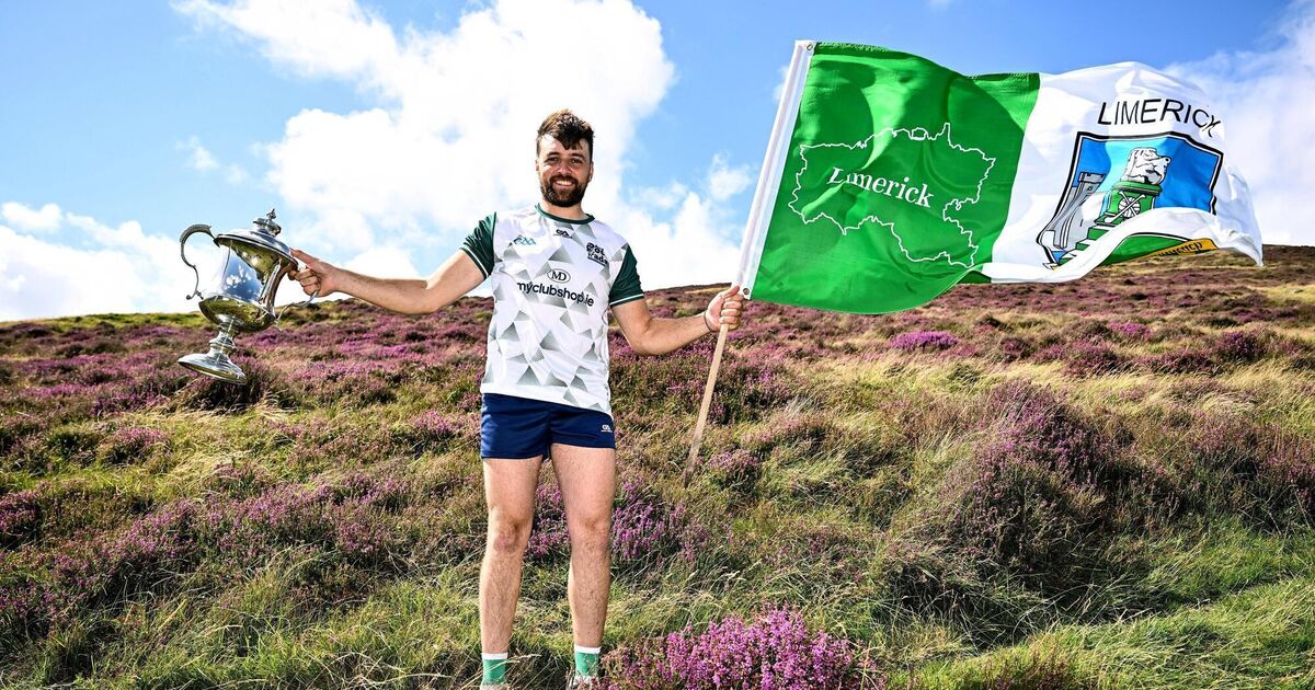 Limerick's Colin Ryan regains All-Ireland Poc Fada title