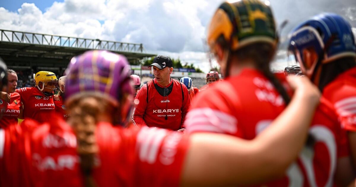 Cork have gone to a new level - but still more to come, says boss Ger ...