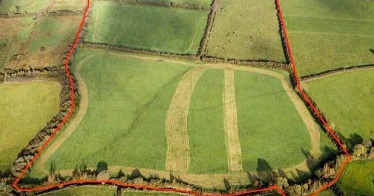 56ac South Limerick farm seeking €7,500/ac at auction