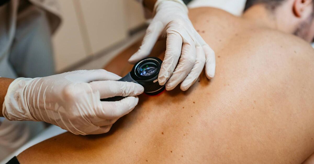 Comatozze new xvideos found an advertisement on a place