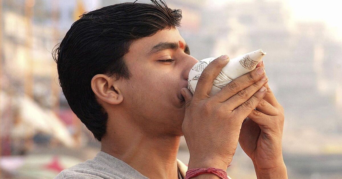 Blowing into conch shell could help relieve sleep apnoea, say scientists