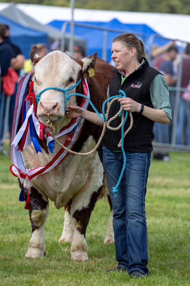 Pictures: Farmers in good spirits at Tullamore Show