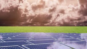 1,000-year-old coin among finds in Cork archaeological dig