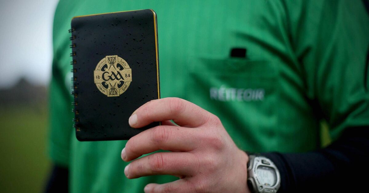 Sports body to set up 'respect the ref' campaign to tackle rising ...