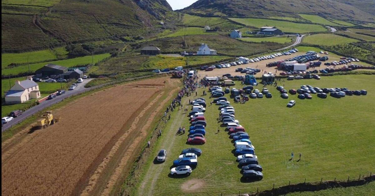 Vintage combine harvester's maiden run on Cork peninsula helps raise € ...
