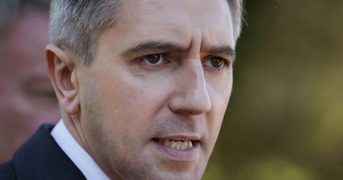 Separate threats against Simon Harris and family not linked, gardaí believe