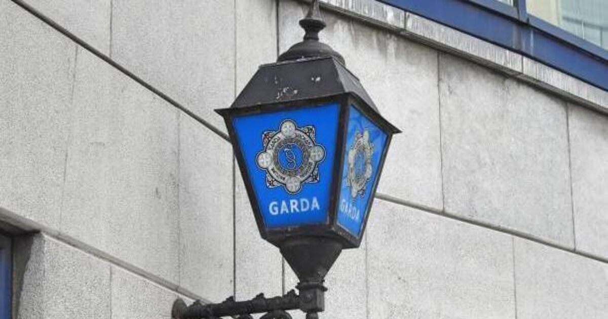 Garda Superintendent cleared of assault, but charged with public order ...