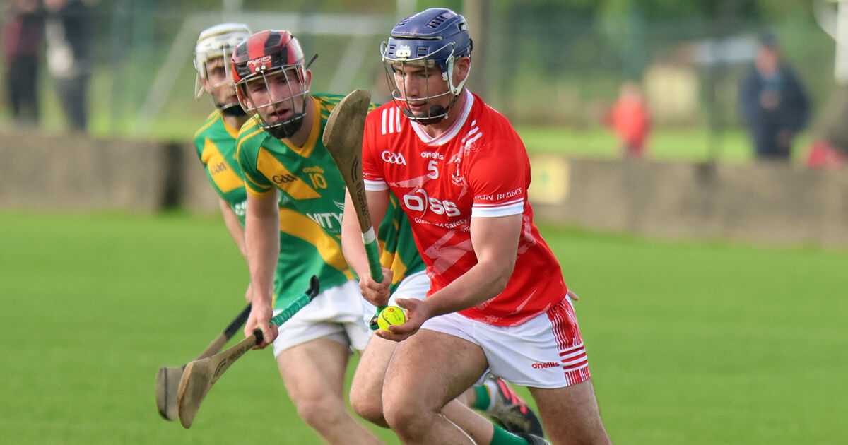 Limerick SHC: Doon claim narrow win in east derby over Ahane