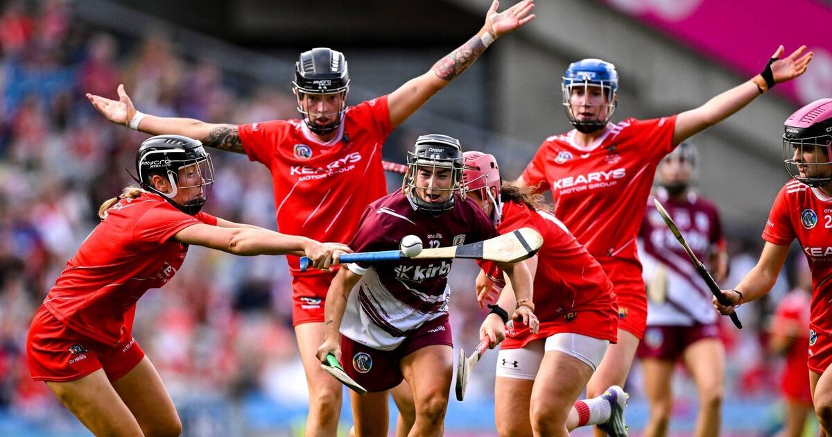 Cork lead camogie All-Stars shortlist with 11 as champions Galway close ...