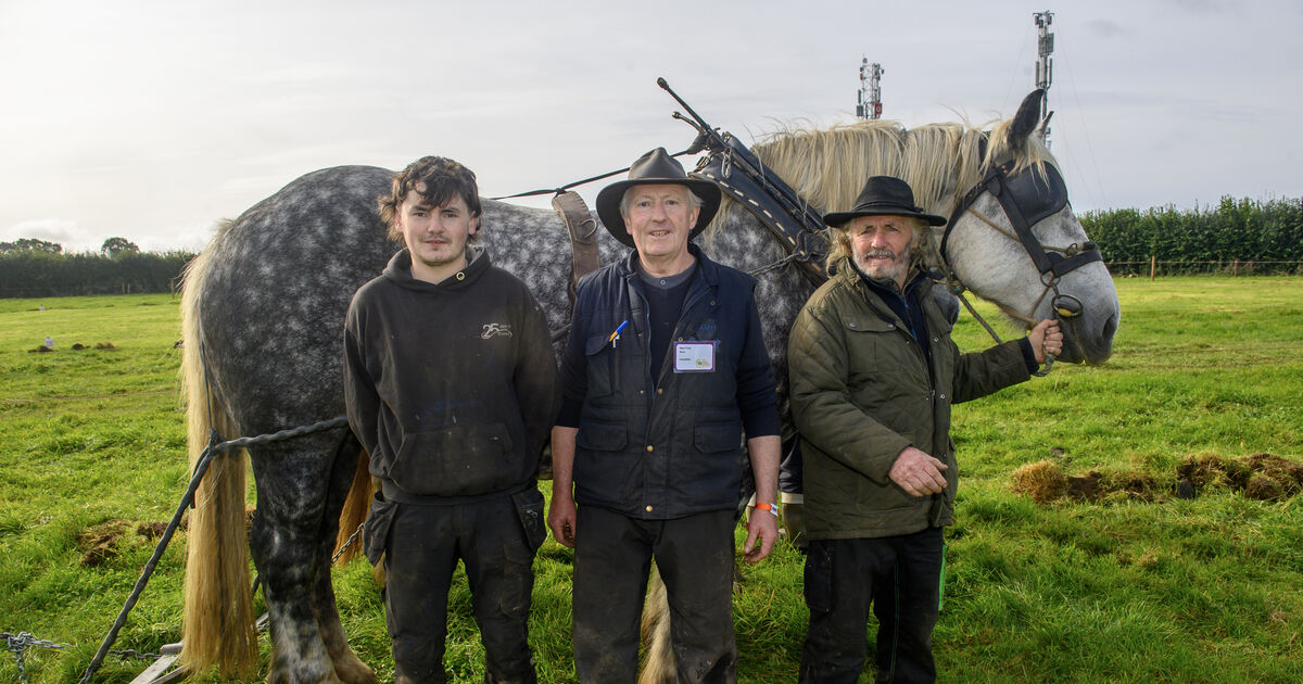 Watch: Moss Trant from Tralee speaks about horse ploughing