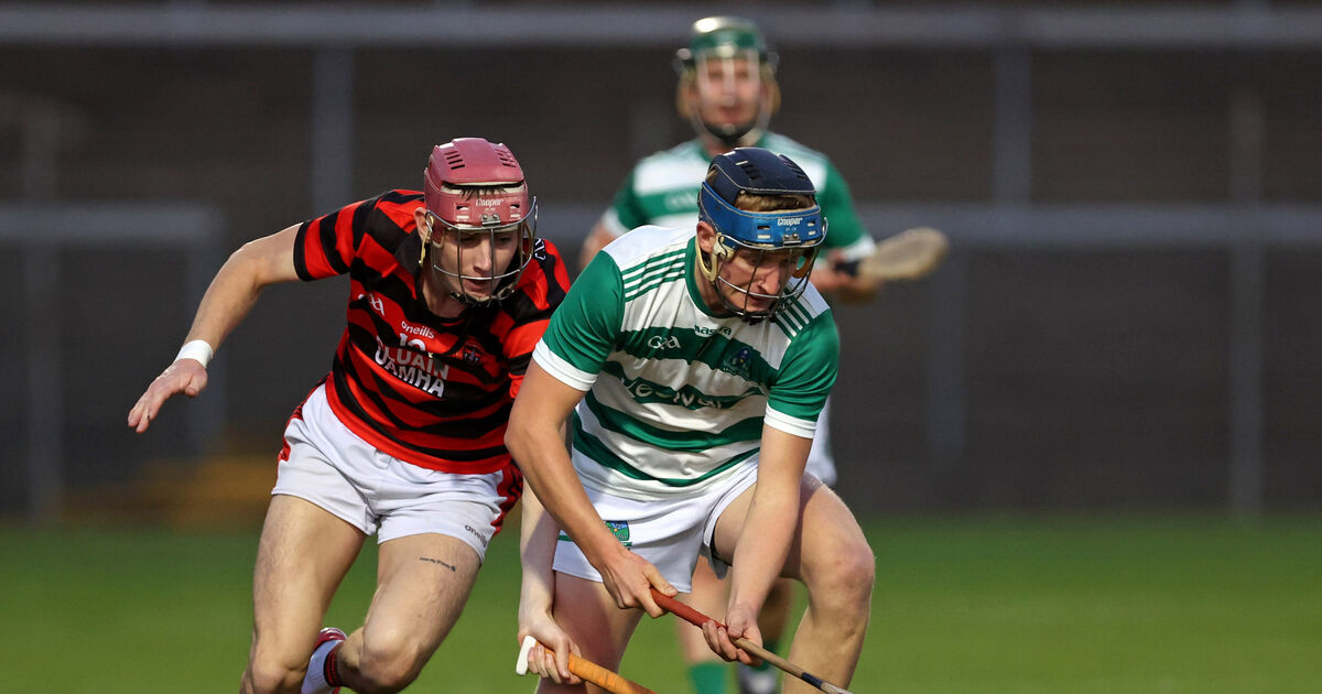 Cork Premier IHC: Cloyne dig deep to clinch dramatic quarter-final win