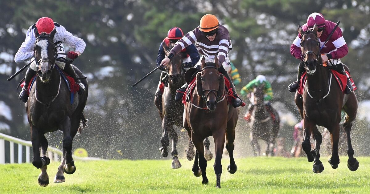 Ruby Walsh: Anyway tailor-made to land perfectly-timed Kerry National