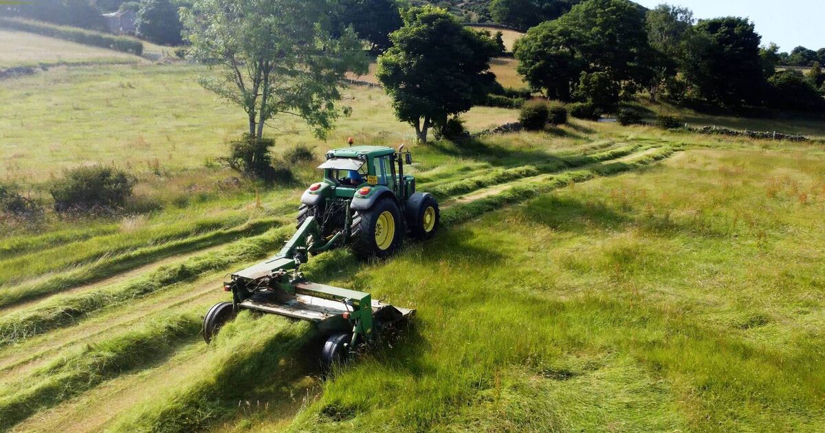 Brian Reidy: What are your feeding options for stock for the coming winter?