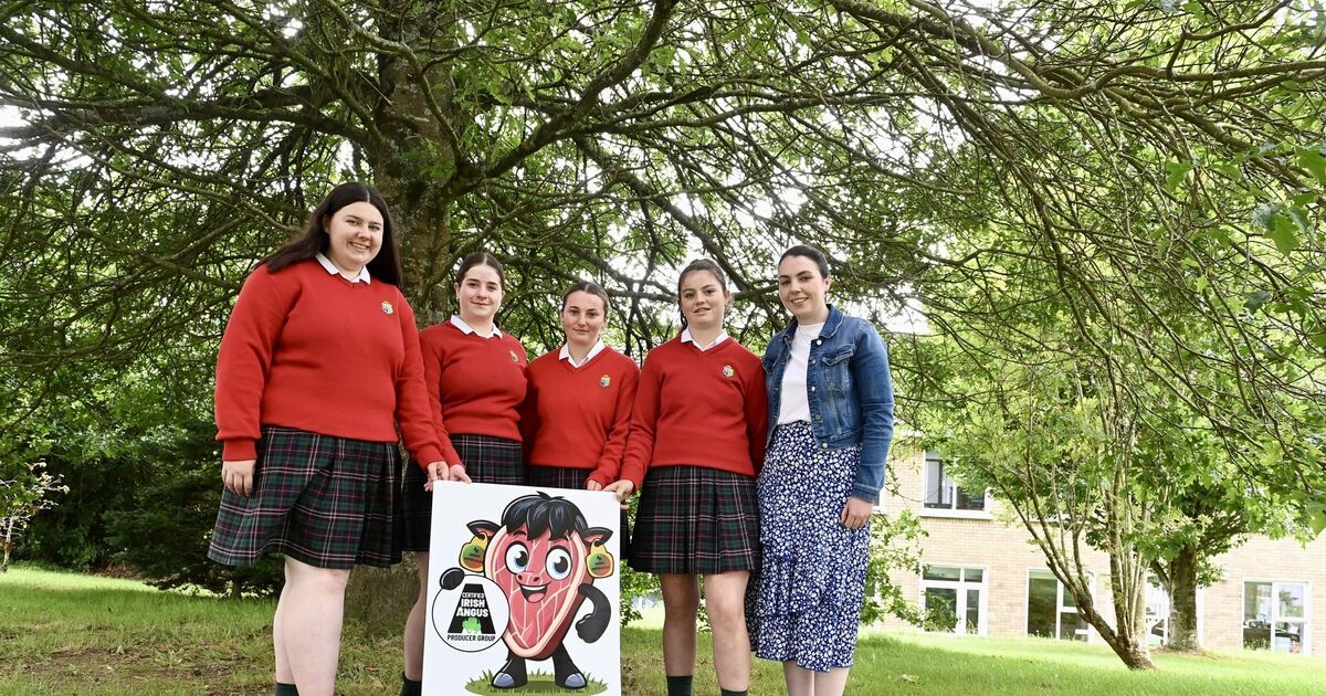 Cork students make it to Certified Irish Angus Schools Competition finals