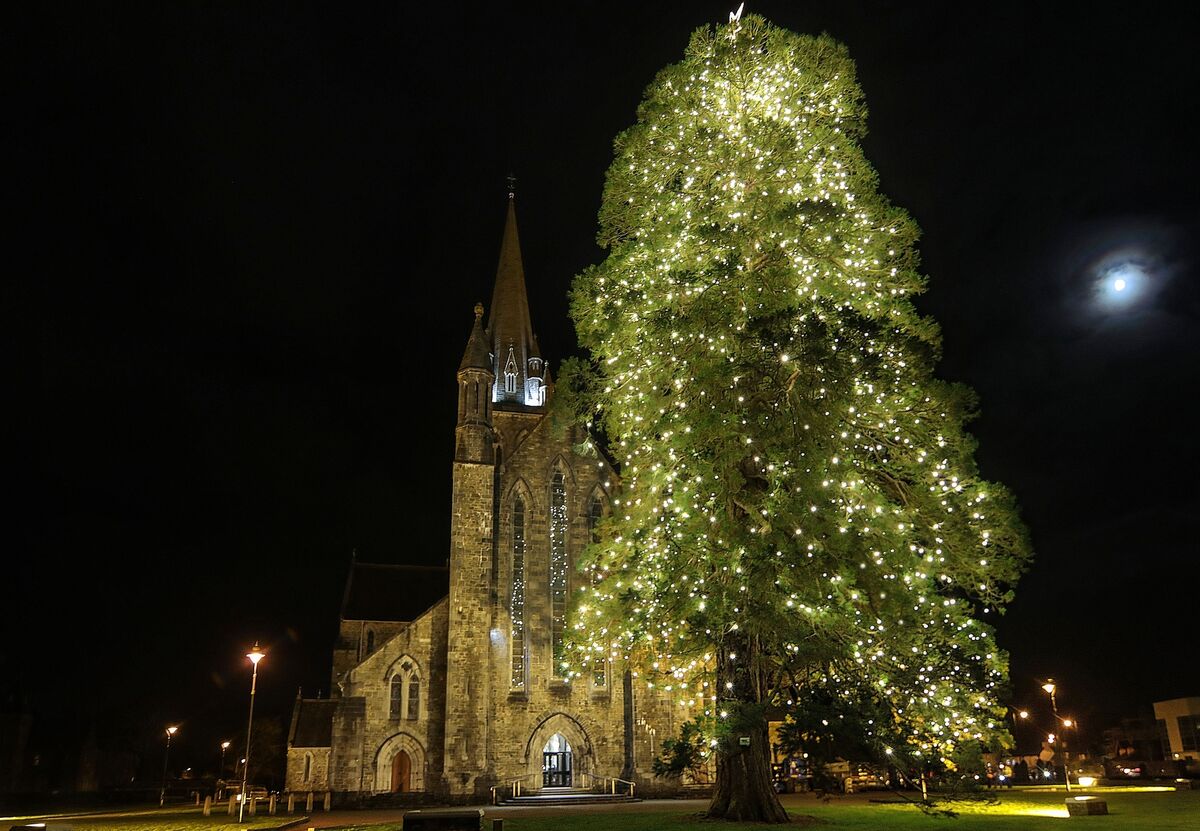 3,000 bulbs and counting ... Killarney's Christmas tree of light is ...
