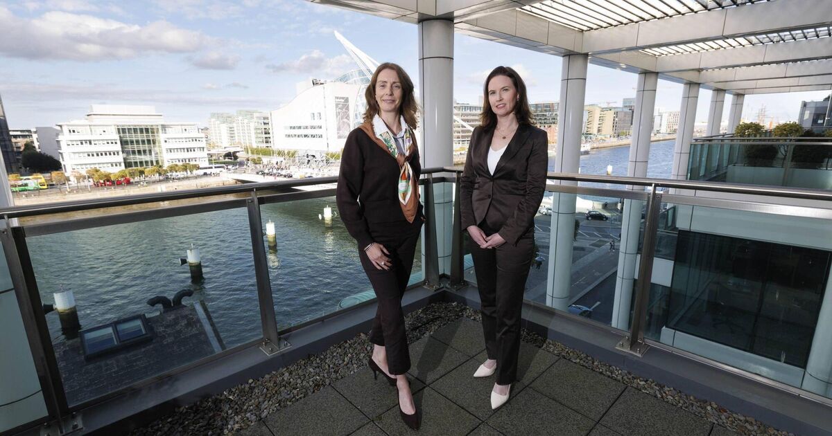 Telecommunications Industry Ireland announces two key appointments