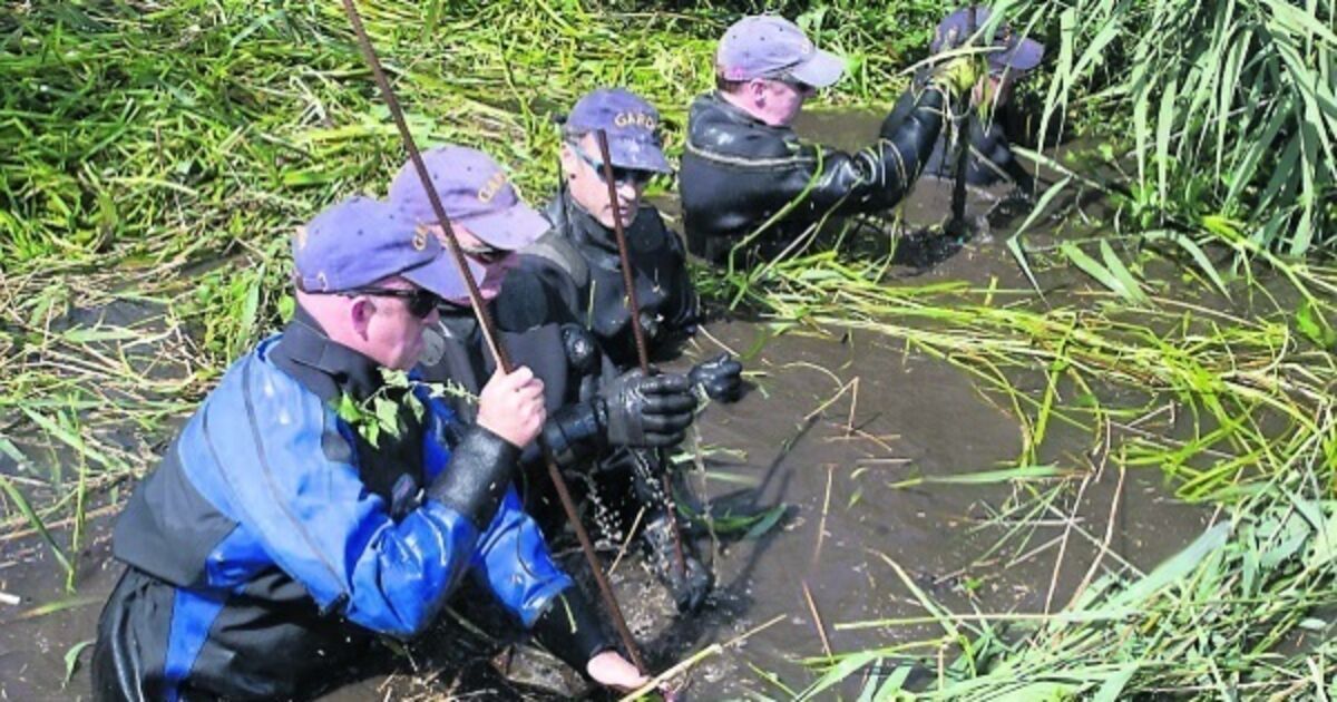 Gardaí resume Dundalk marshland search in Ciara Breen case