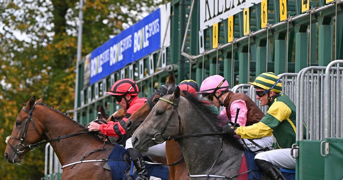 Alphecca and Lady Lilac deliver Killarney double for Murphy and Carroll
