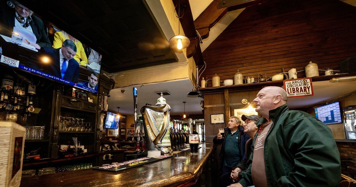 Budget 2026: €10 increase to core social welfare rates; minimum wage ...