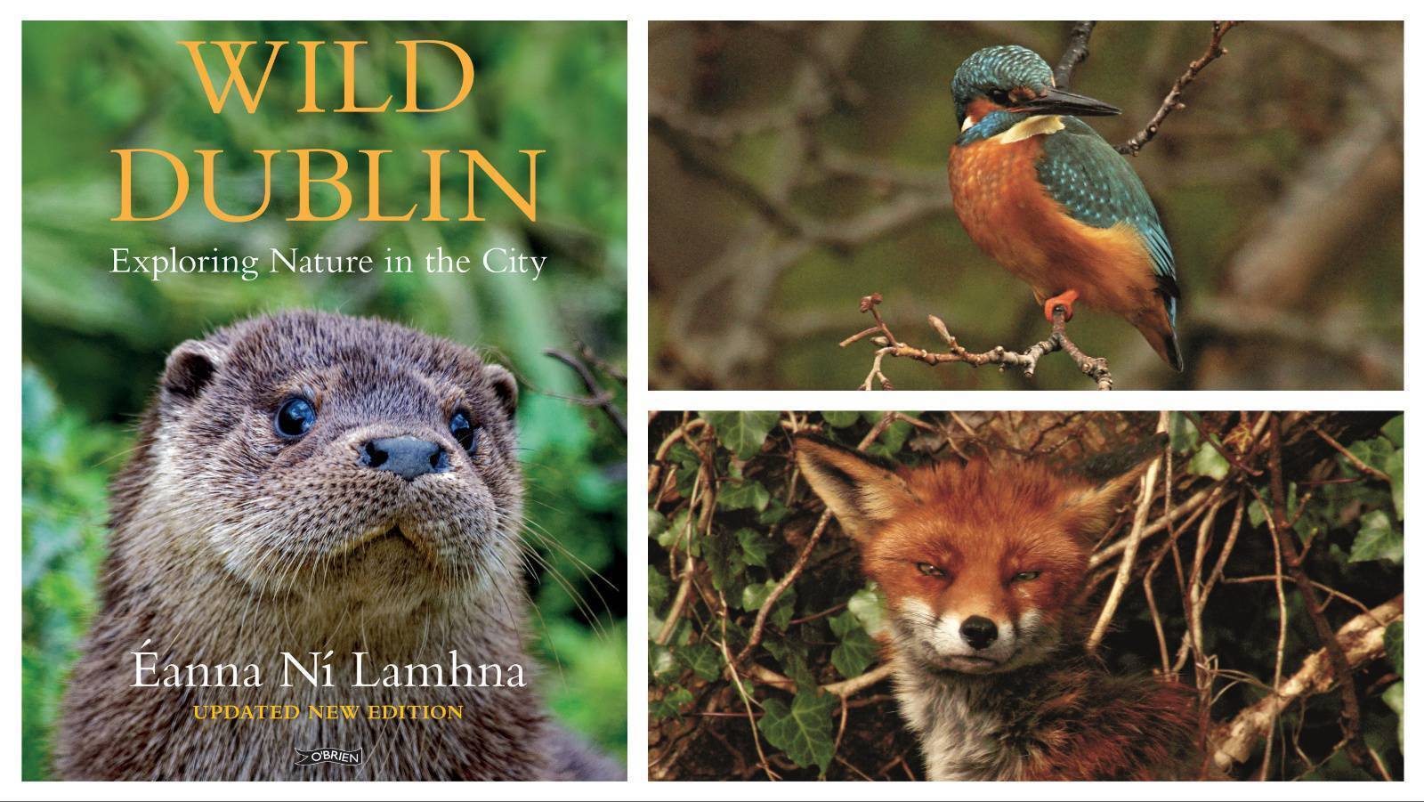 Richard Collins: Natural history of Dublin celebrated in Éanna's fab book