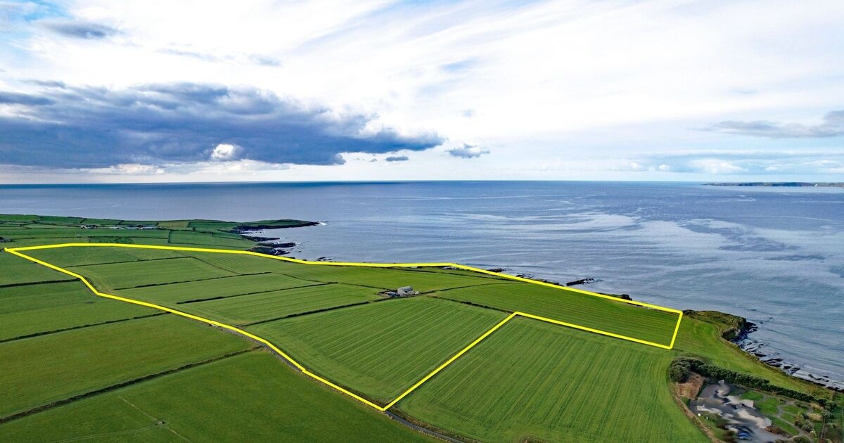 69-acre quality farm near Kinsale's Old Head is guiding €20k-€25k an acre