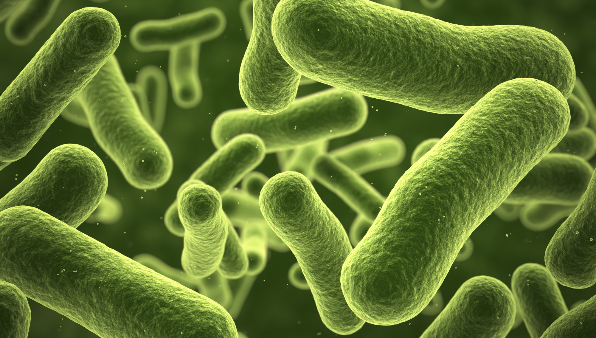 Sharp global rise in antibiotic-resistant infections 'deeply concerning ...