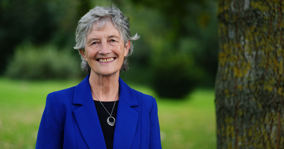 Sarah Harte: Our presidential contest illustrates just how far Irish ...
