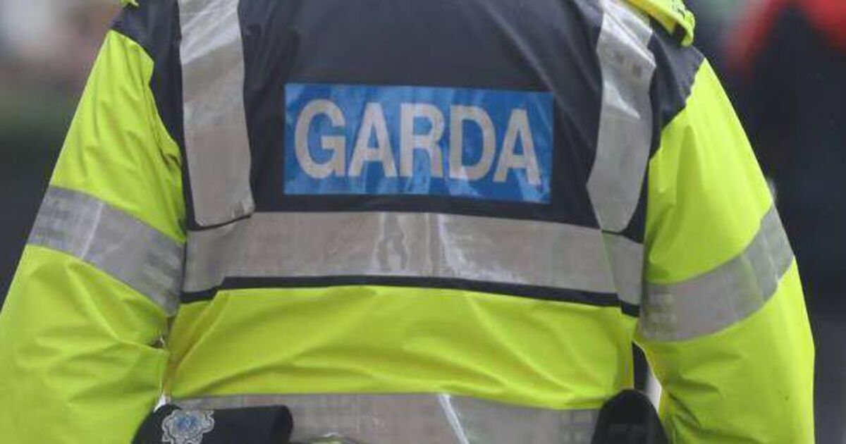 Gardaí deny allegations that use of force at pro-Palestine protest ...