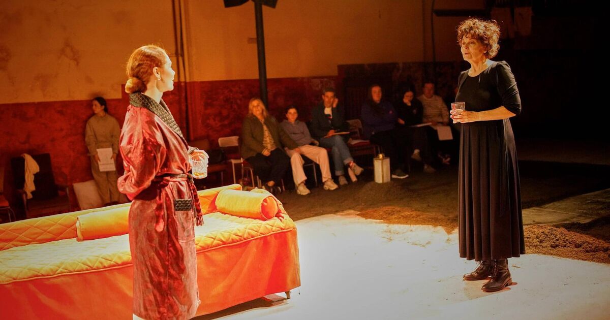 Connie review: Production at Theatre Royal revives memories of Limerick ...