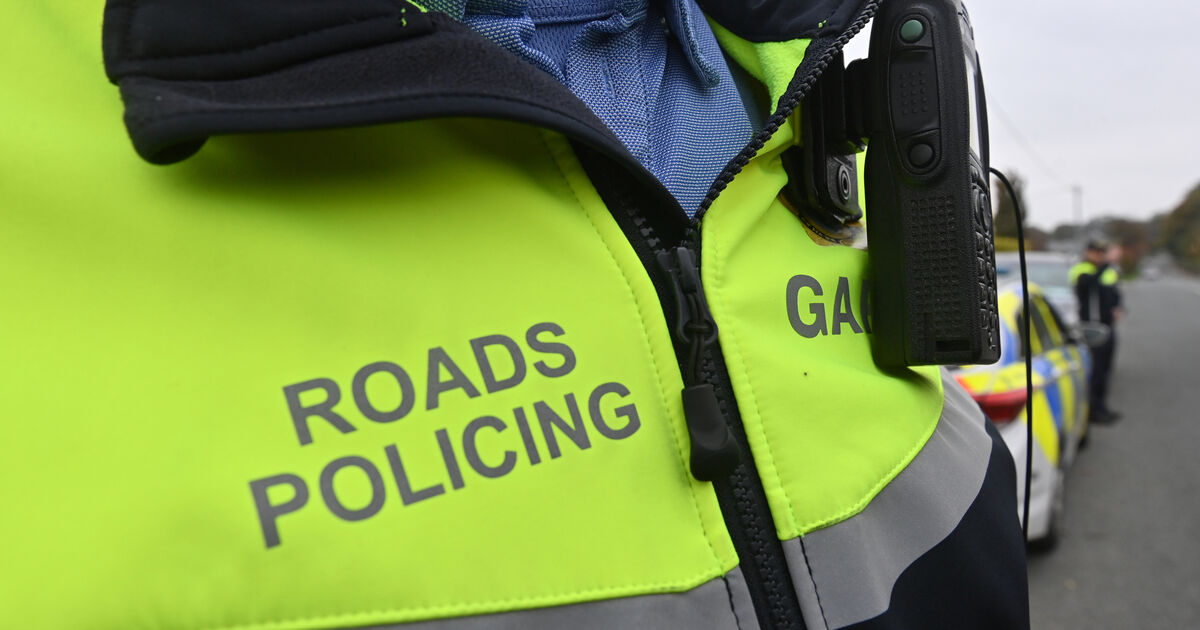 Witness appeal after pedestrian killed in Carlow crash