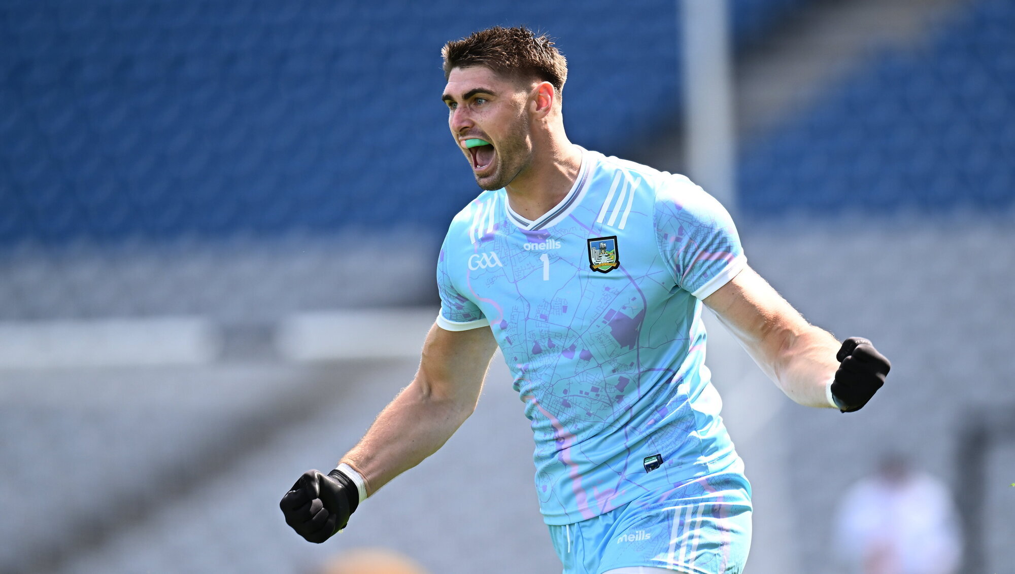 Limerick goalkeeper Josh Ryan suffers ACL tear