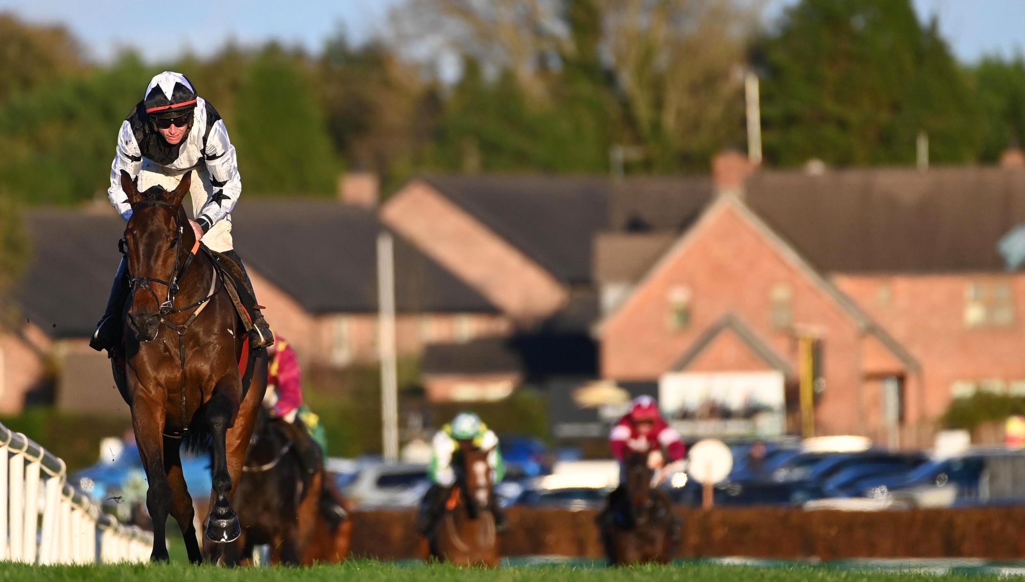 Elliott matches Down Royal feat as Romeo Coolio shines on chase debut