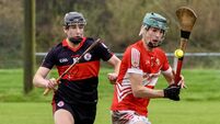 De La Salle finish strongly to see off St Colman's in the Harty Cup