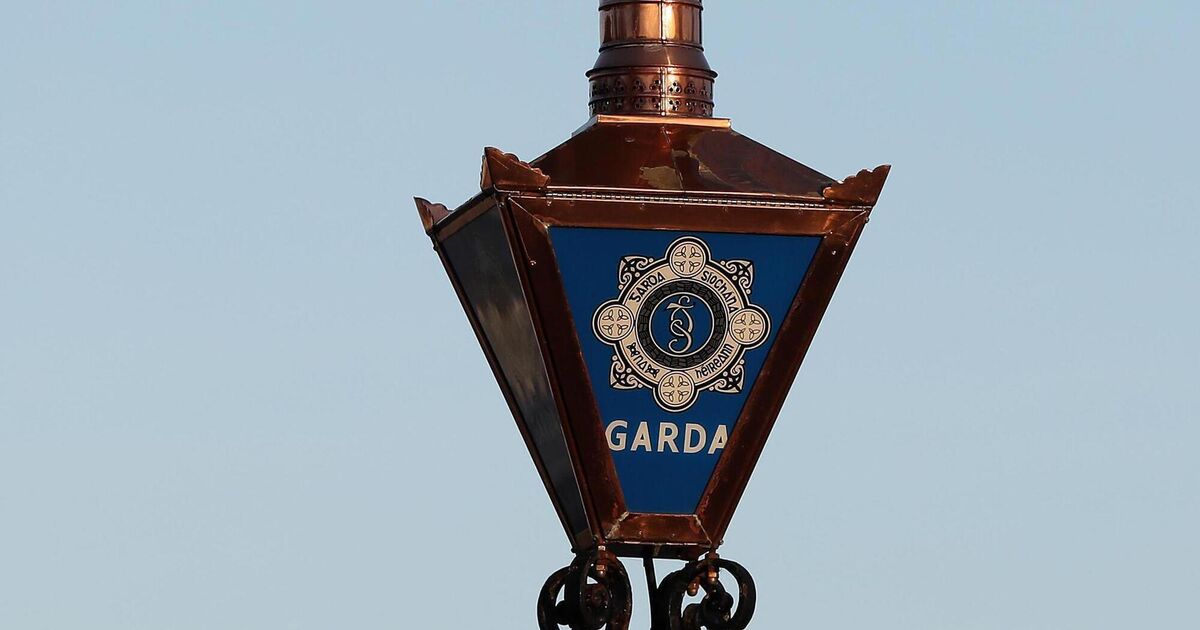 Four men arrested after €4.6m cannabis haul seized in major garda operation