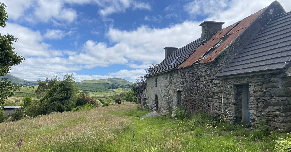 Cork council reassigns staff to deal with demand for grants to do up ...