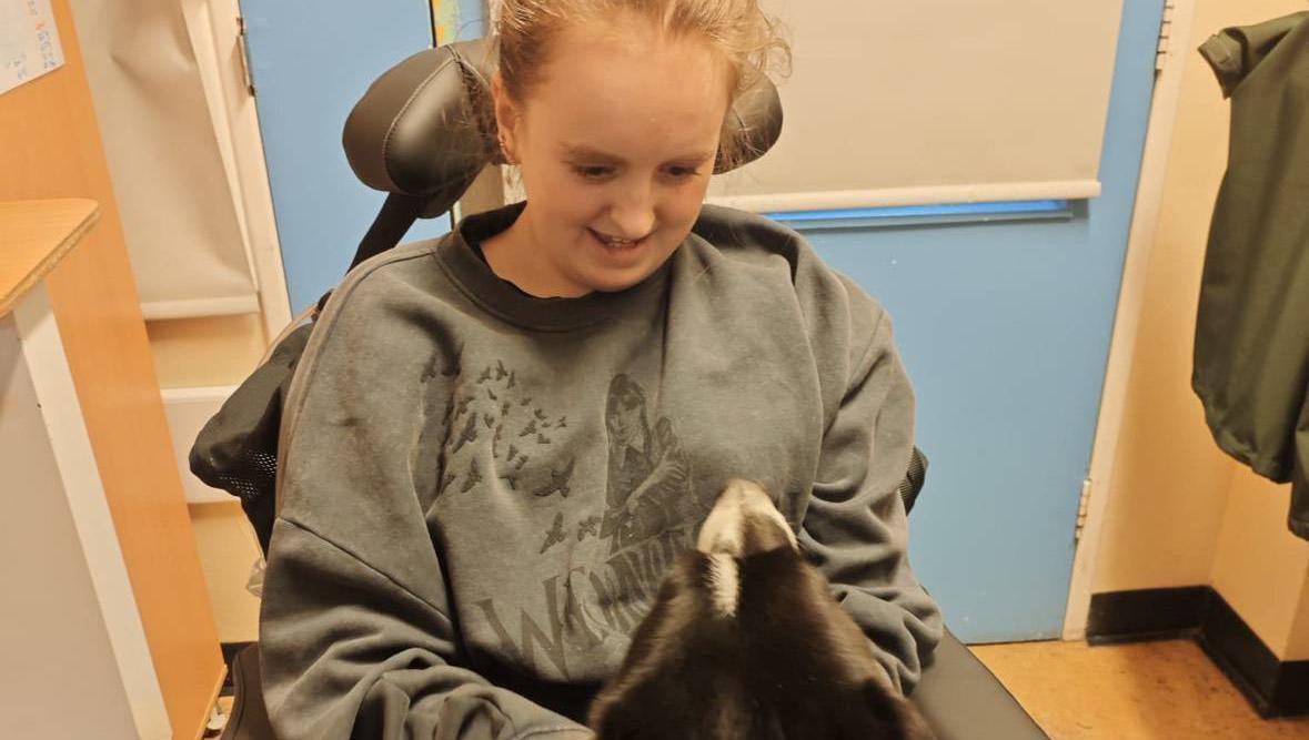 Féile making 'wonderful progress' as family hope to have her home for ...
