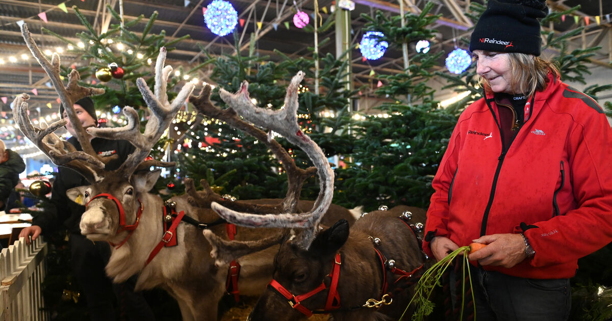 'The most common question I’m asked is if the reindeers fly. My answer ...
