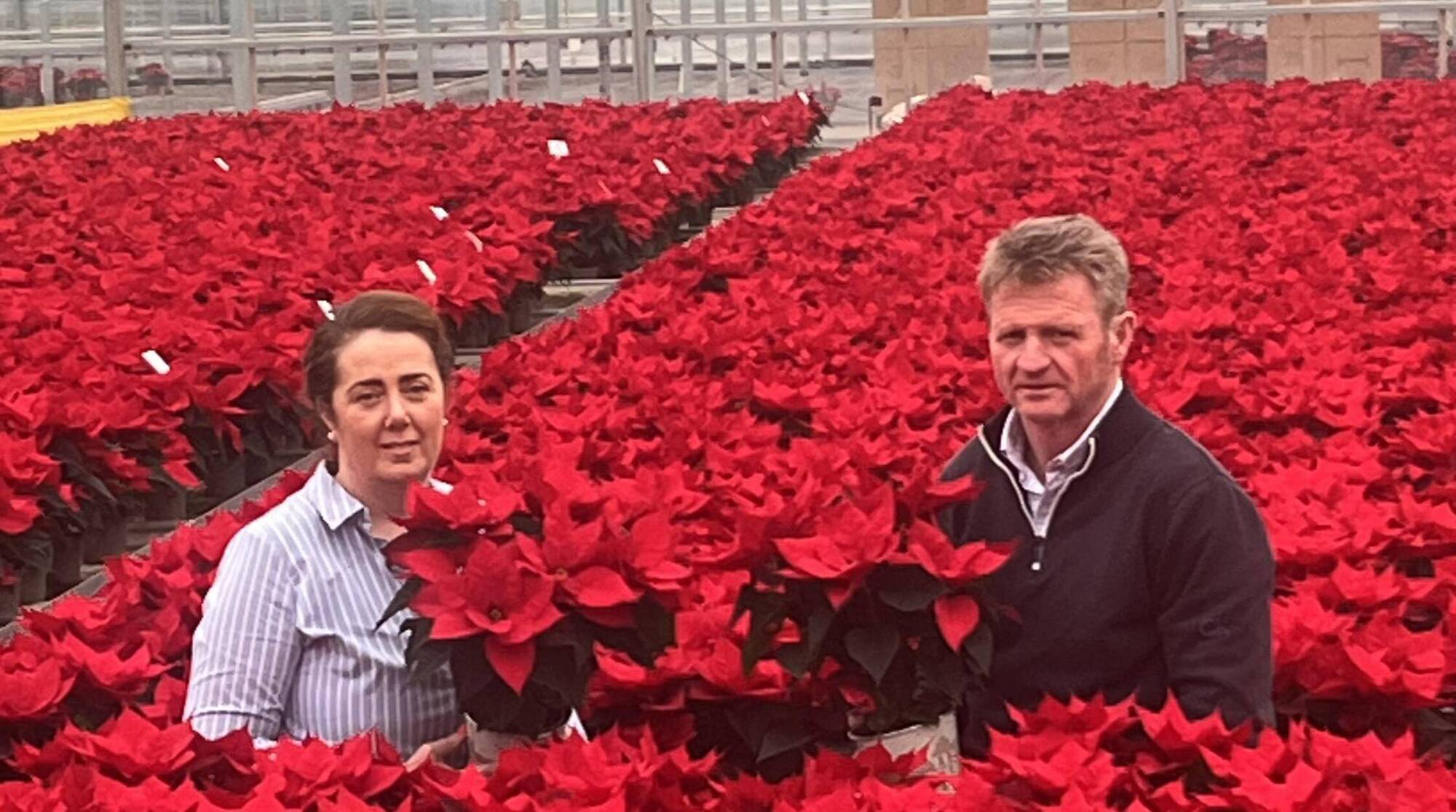 Family-owned nursery in Wexford celebrates 30 years of going potty for ...