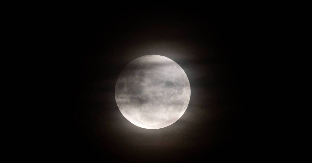 Colin Sheridan: We can imagine life on the Moon, but not dignity on Earth