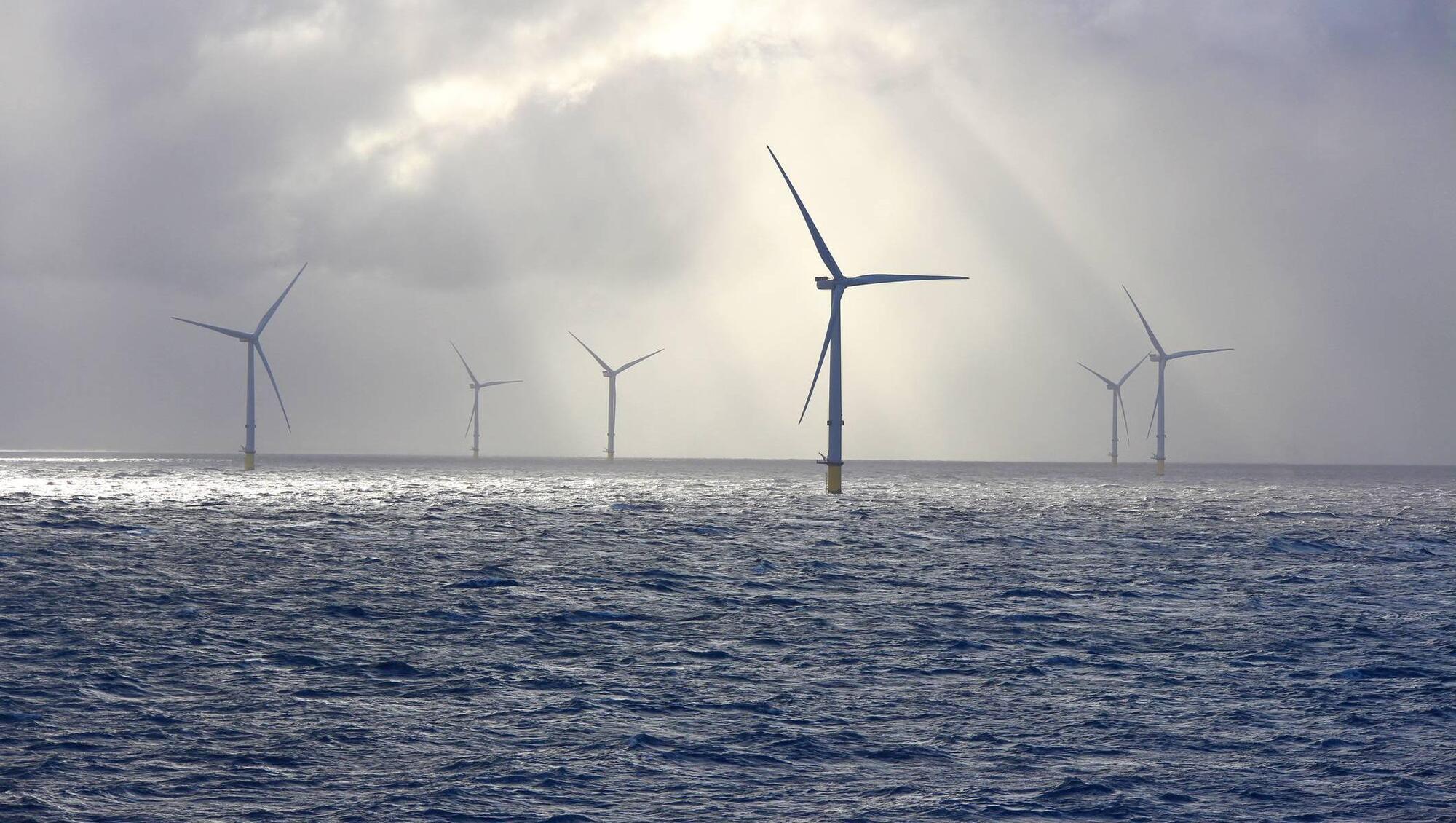 Plans scrapped for €1.4bn Atlantic wind farm opposed by Tommy Tiernan
